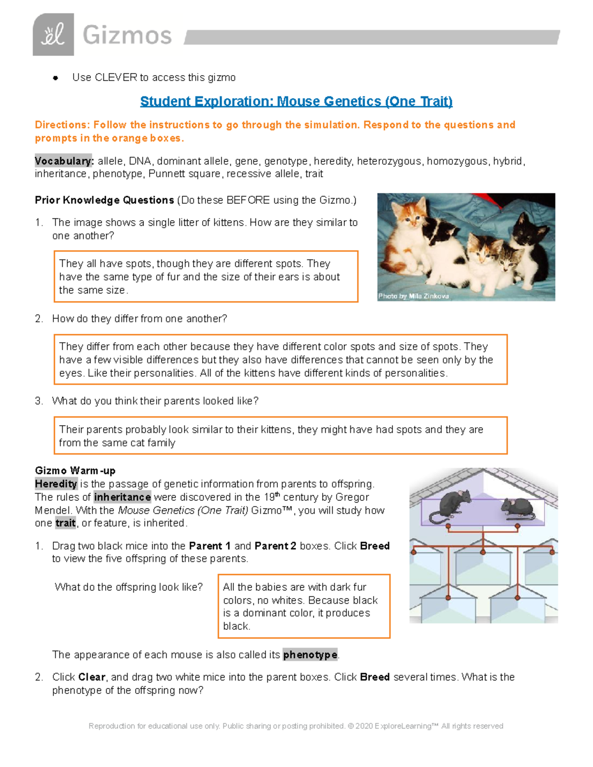 Gizmo - Student Exploration Mouse Genetics (One Trait) - Use CLEVER to access this gizmo Student ...
