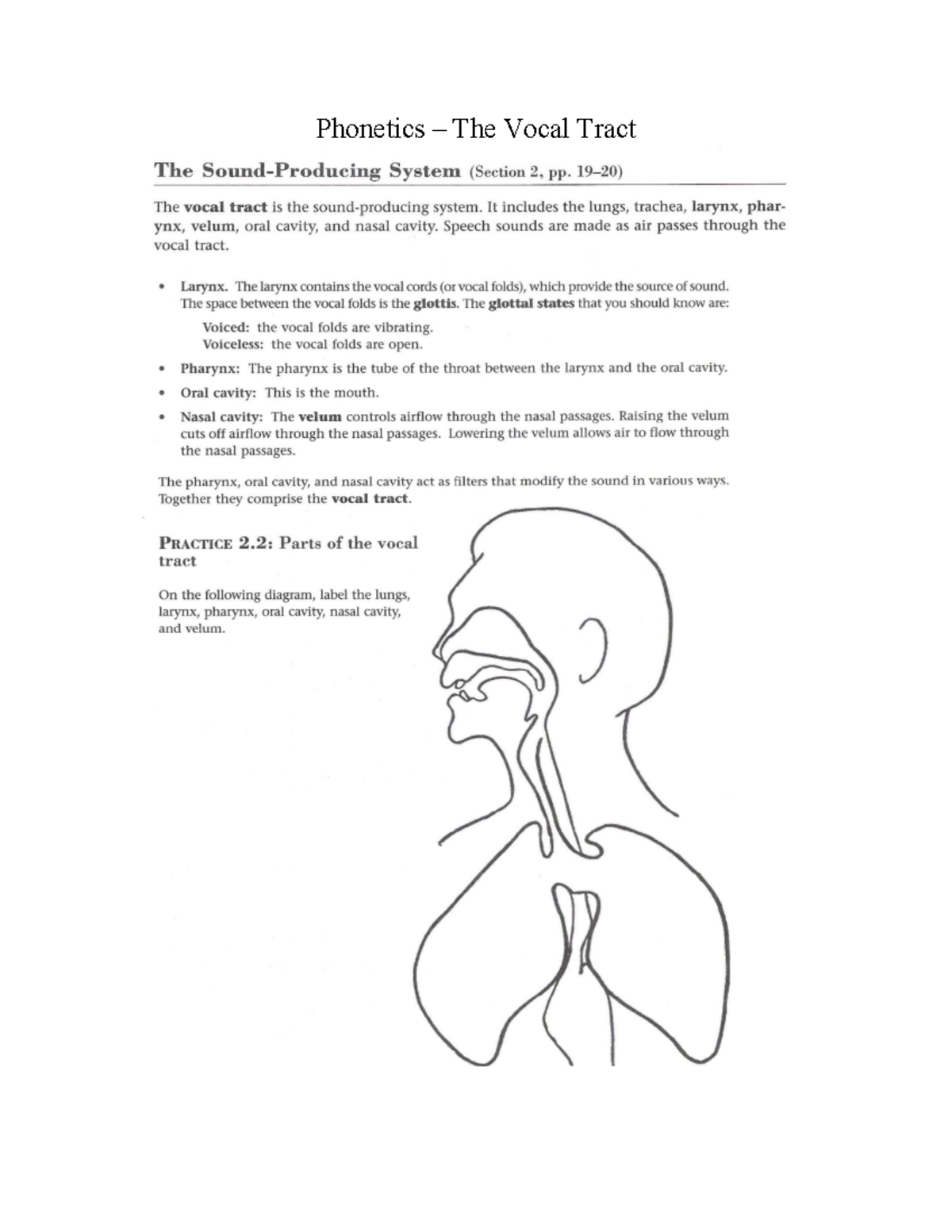 Vowel-exercises - worksheet on vowels, Professor Jon Nissenbaum ...
