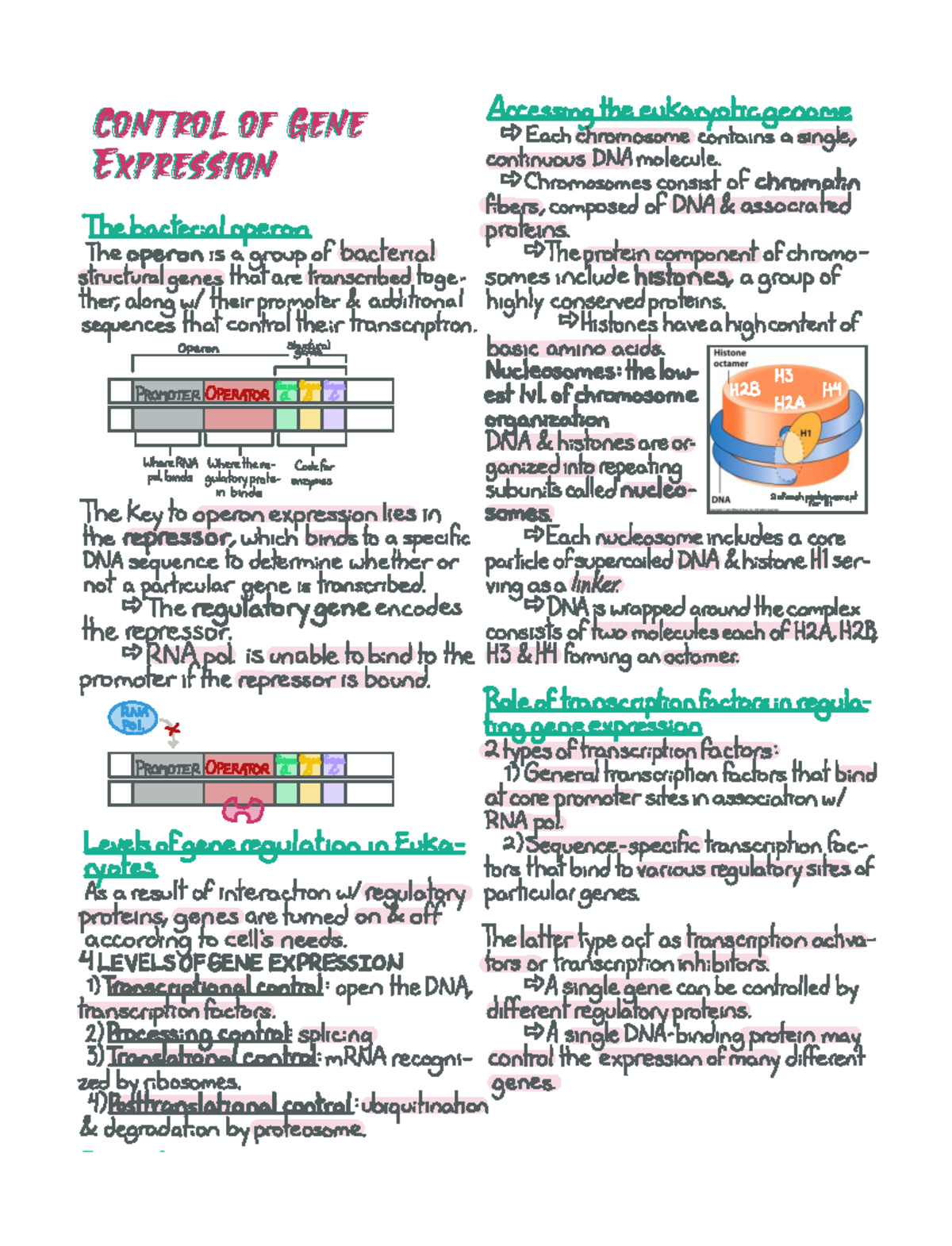 Gene Expression (MOLECULAR BIOLOGY) - Accessingtheeukaryoticgenome ...