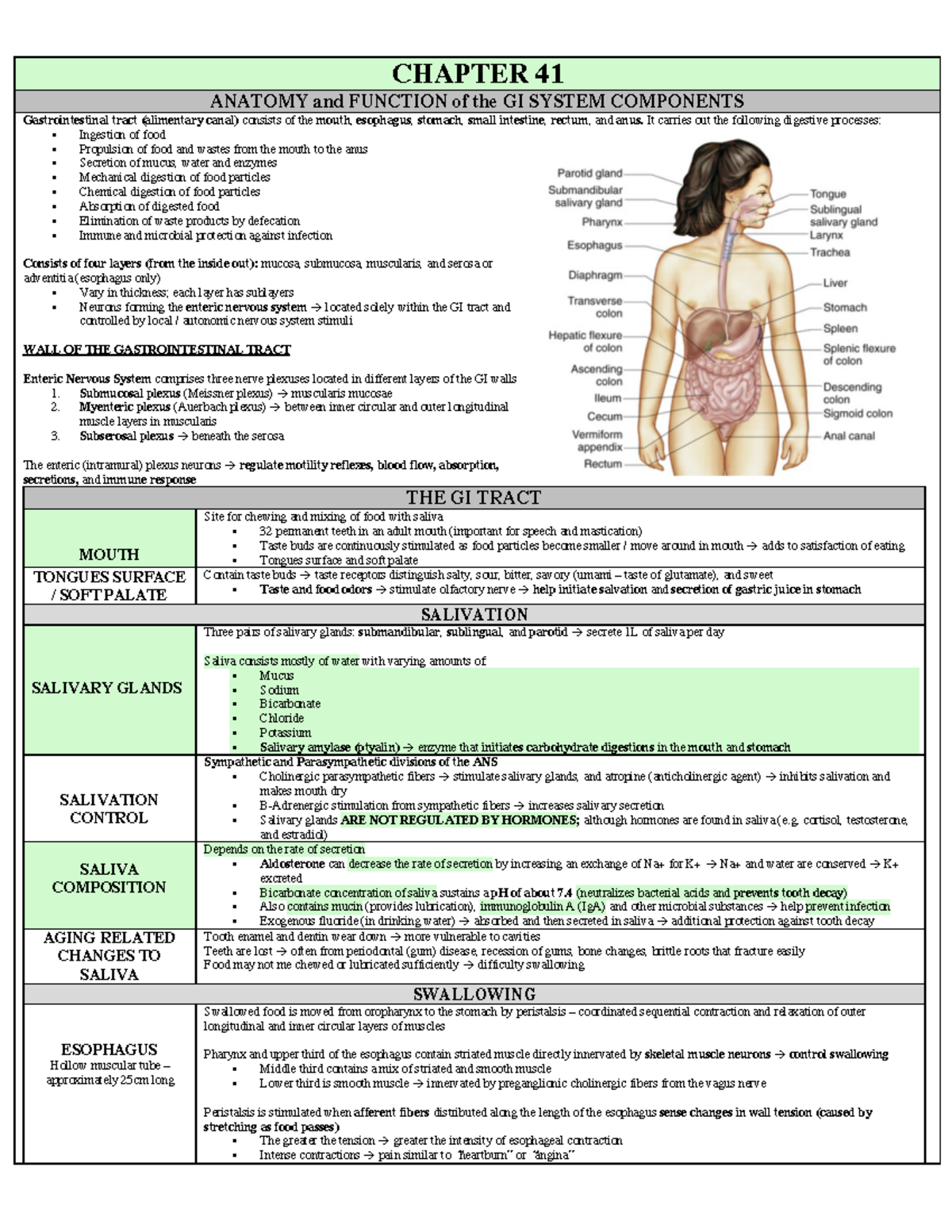 Color Study Guide Test 6 - CHAPTER 41 ANATOMY and FUNCTION of the GI ...