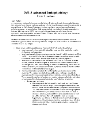 N5315 Advanced Pathophysiology Action Potential Transcript - NURS 5315 ...