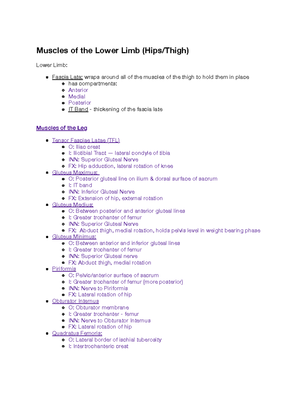 Muscles of the Lower Limb (Hips:Thigh) - Muscles of the Lower Limb ...