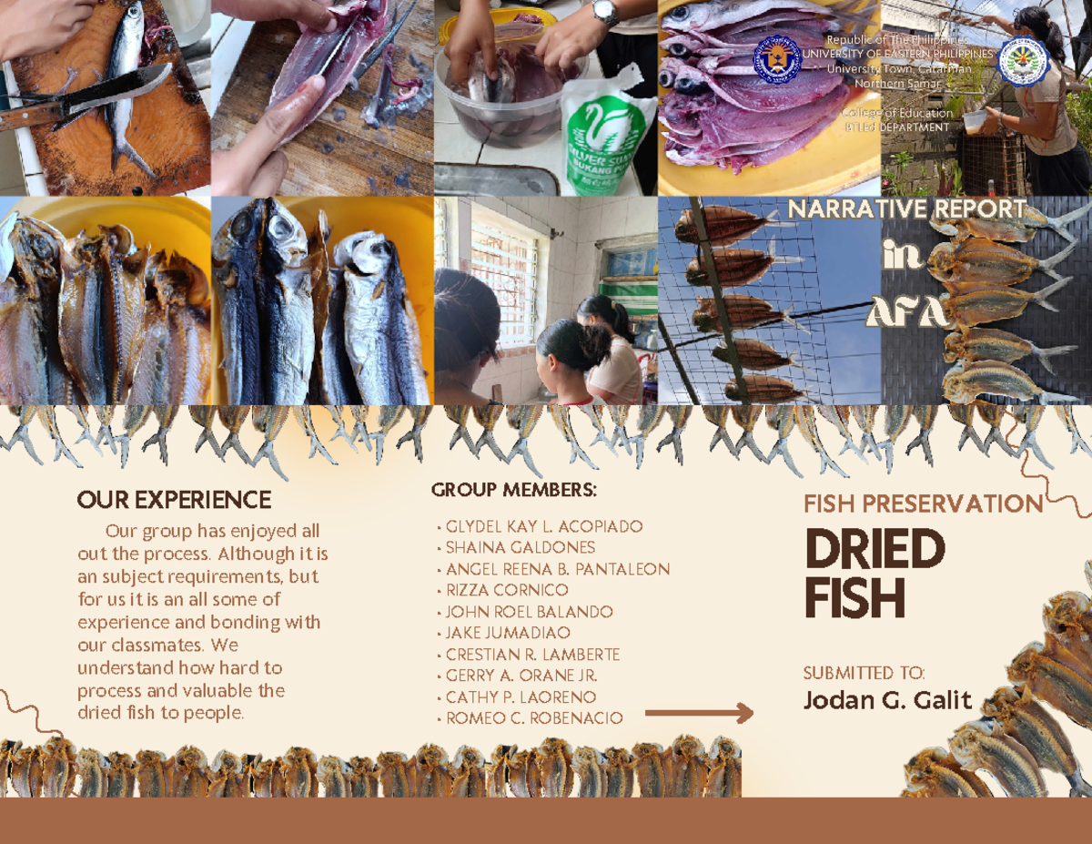 Driedfish_TRIFOLD MAGAZINE - FISH PRESERVATION Our group has enjoyed ...