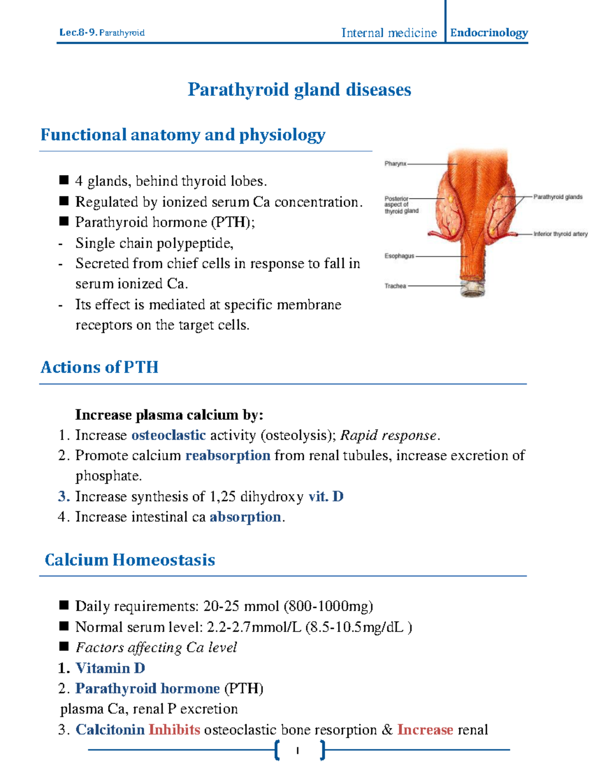 parathyroid deasease - Parathyroid gland diseases Functional anatomy ...