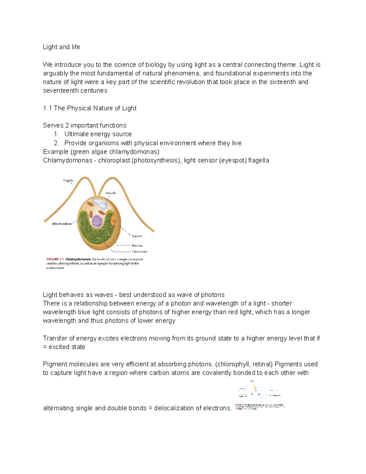 Biology chapter 1 light and life - Light and life We introduce you to ...