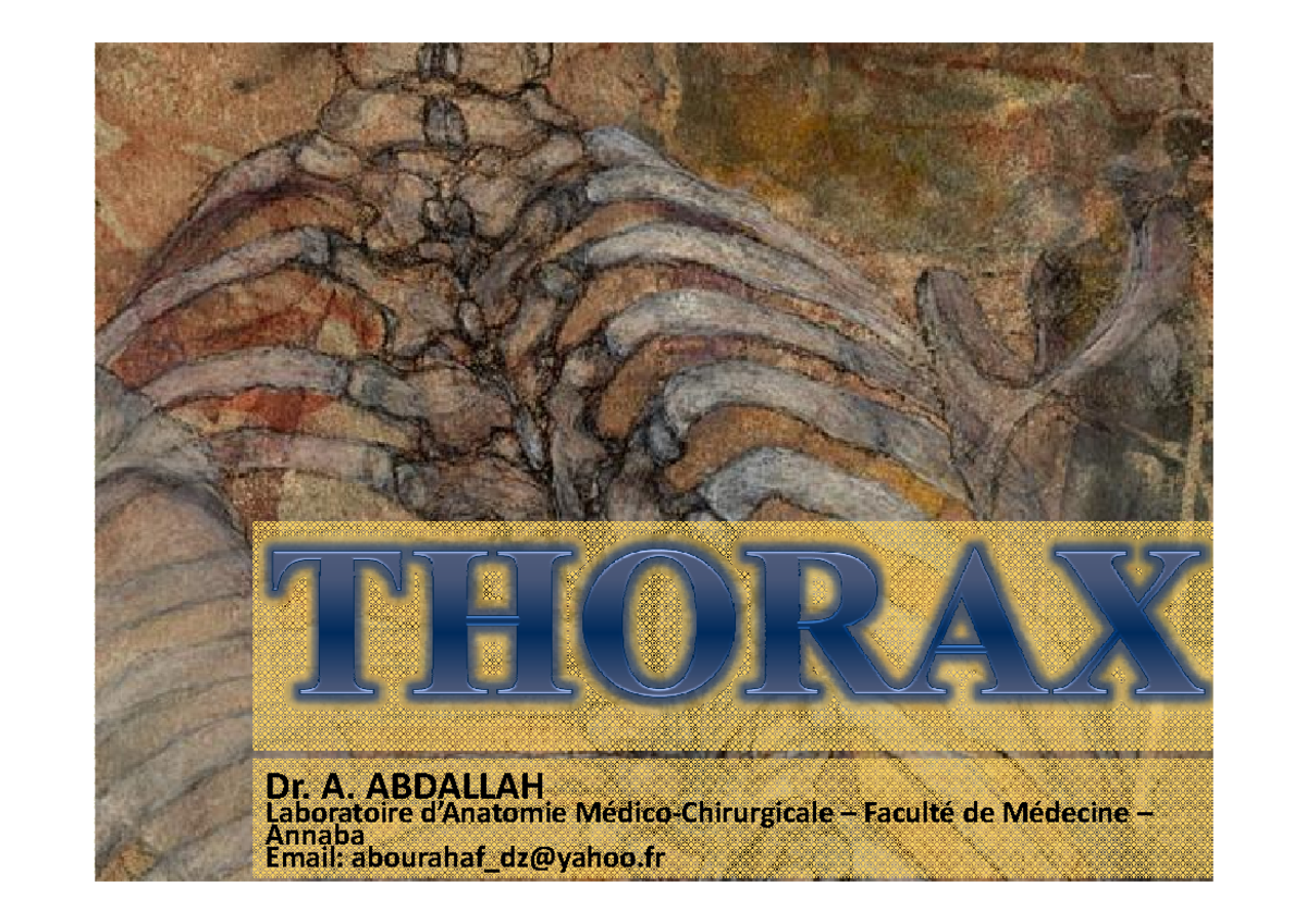Anatomie 2an-thorax - Methodology - Dr. A. ABDALLAH Laboratoire d’Anatomie Médico-Chirurgicale ...