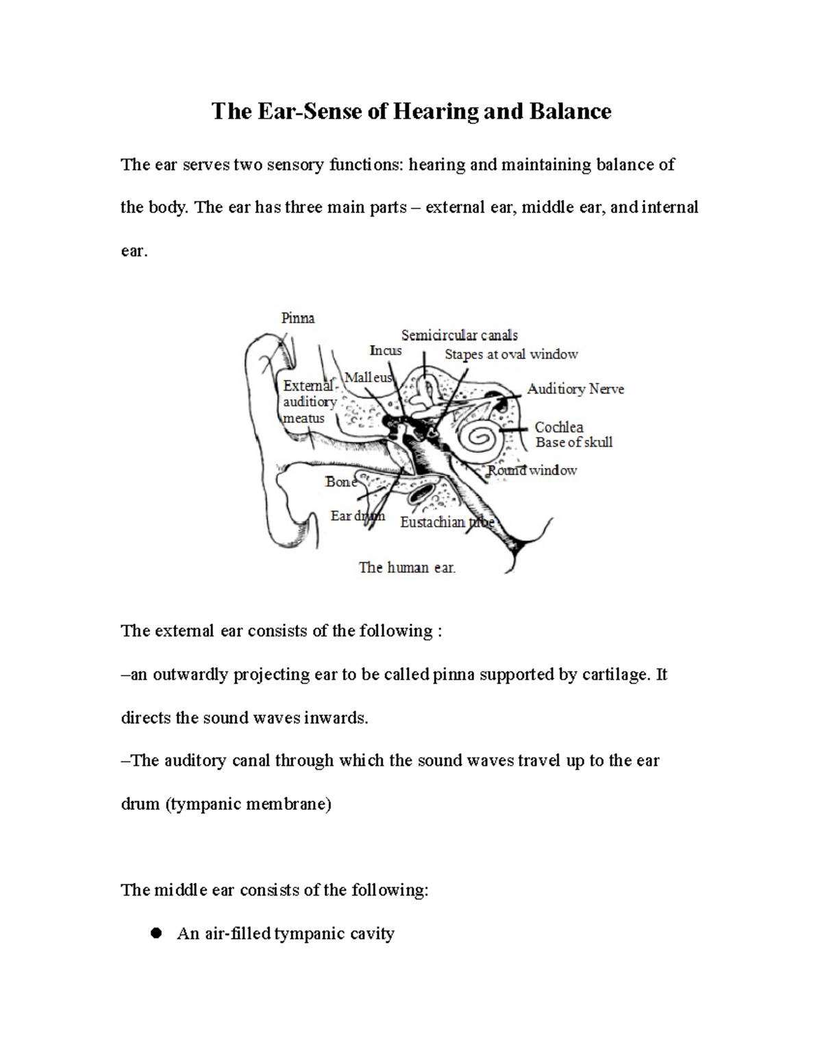 The Ear-Sense of Hearing and Balance - The ear has three main parts ...