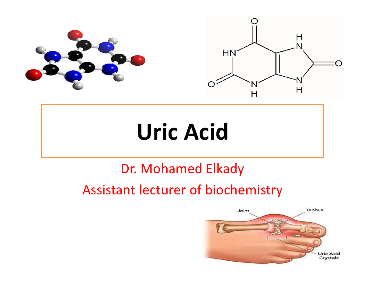 4 - Pharmacology - Dr. Mohamed Elkady Assistant lecturer of ...