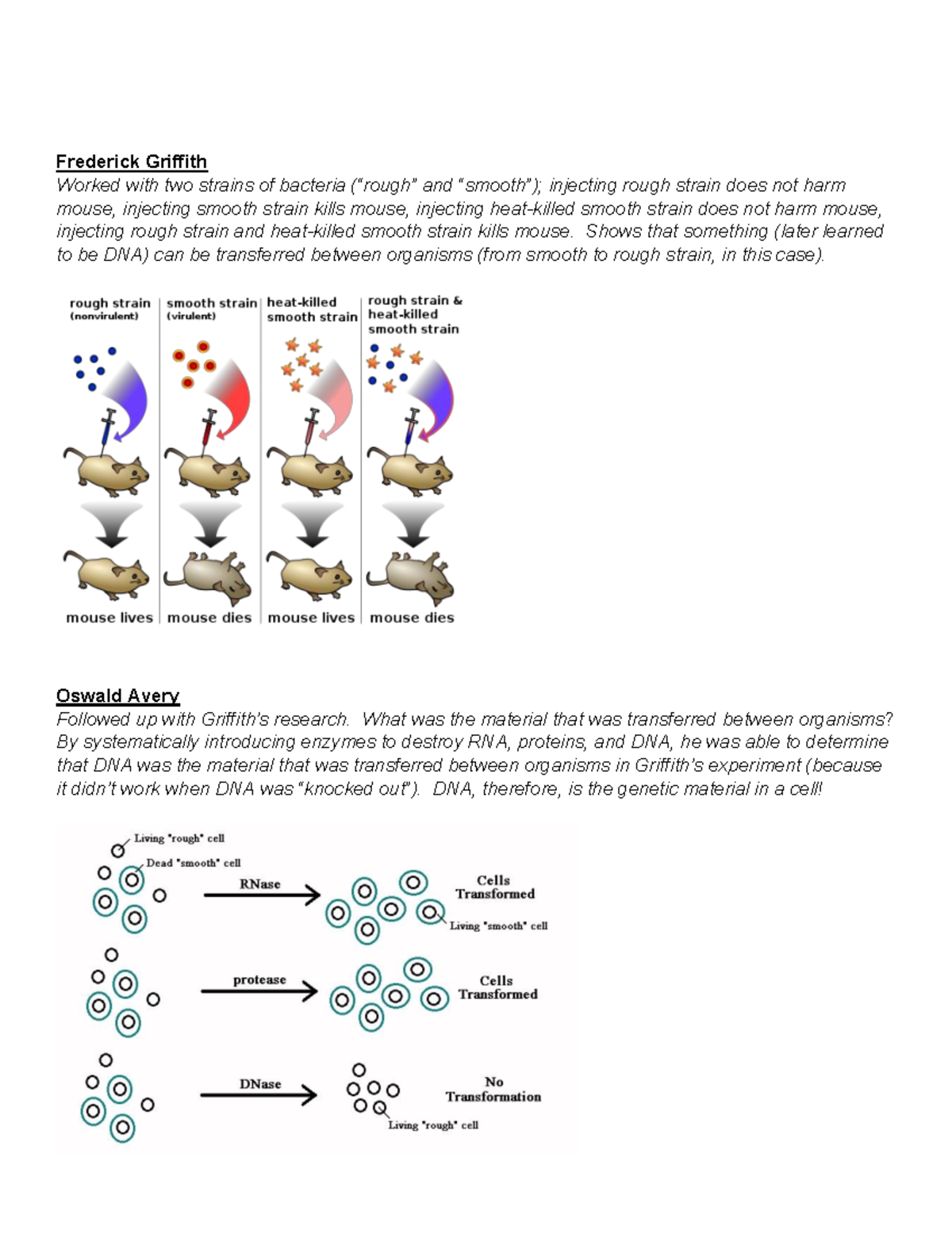 DNA Scientists Summary - SC - Biology 138 DNA Scientists Frederick ...
