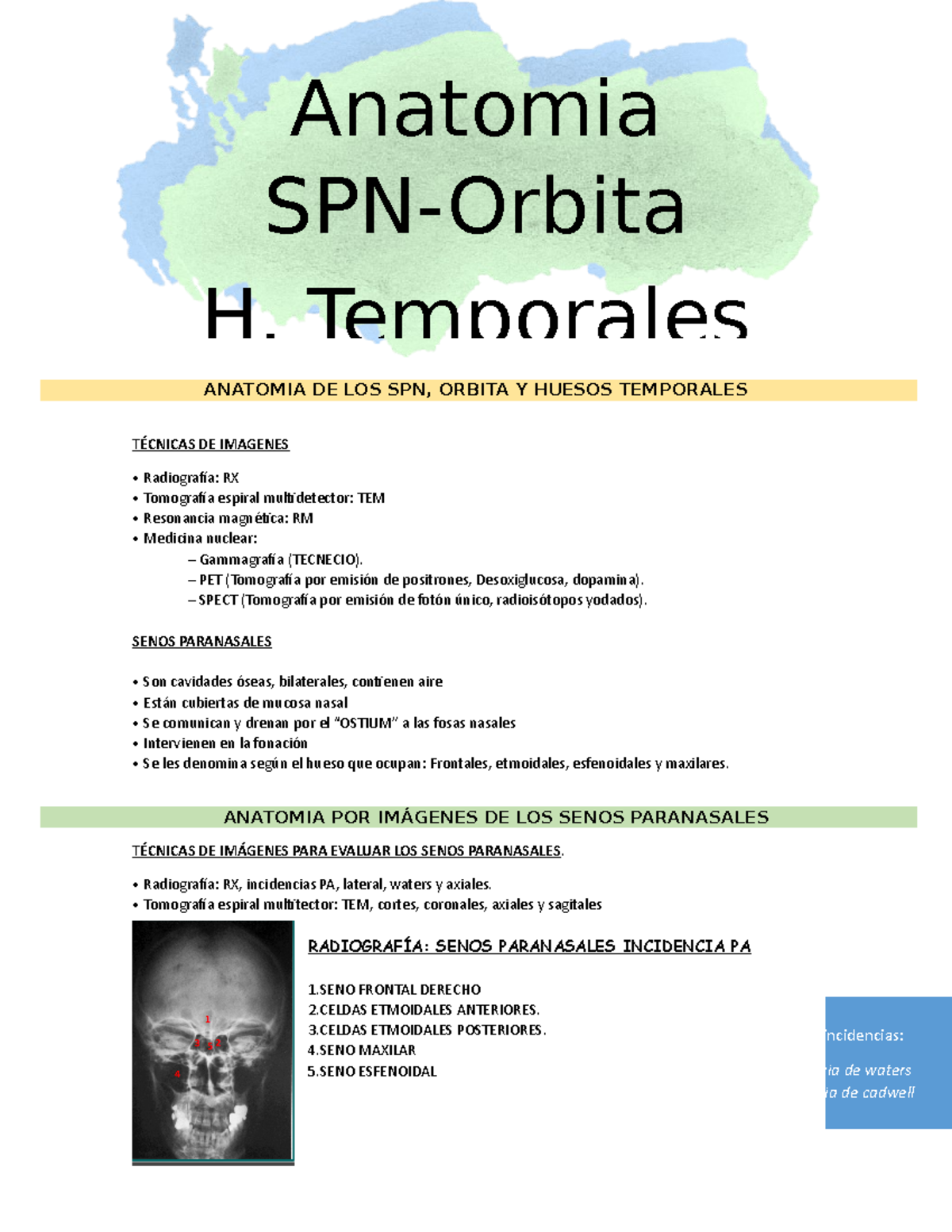 4. Anatomia SPN- Orbitas- H. Temporales - ANATOMIA DE LOS SPN, ORBITA Y ...