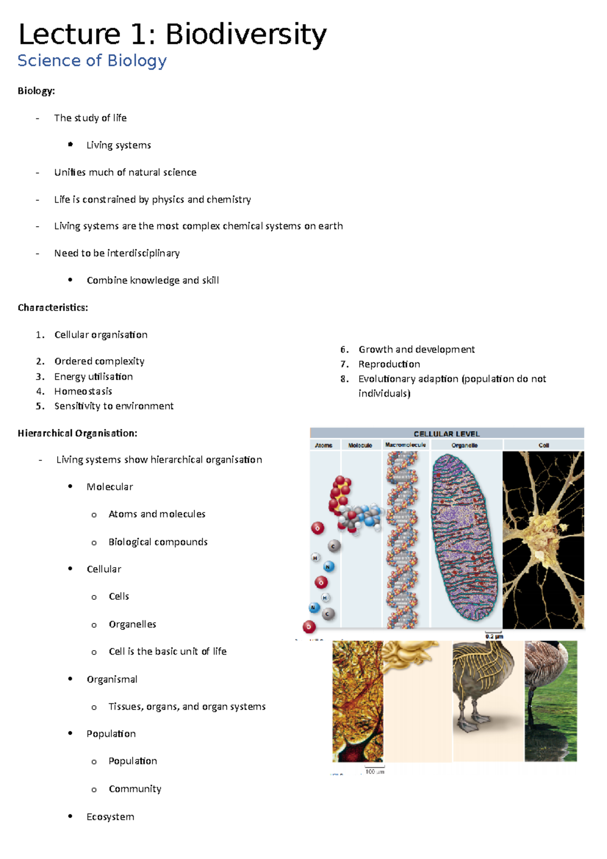 Lecture 1 - biology notes - Lecture 1: Biodiversity Science of Biology ...