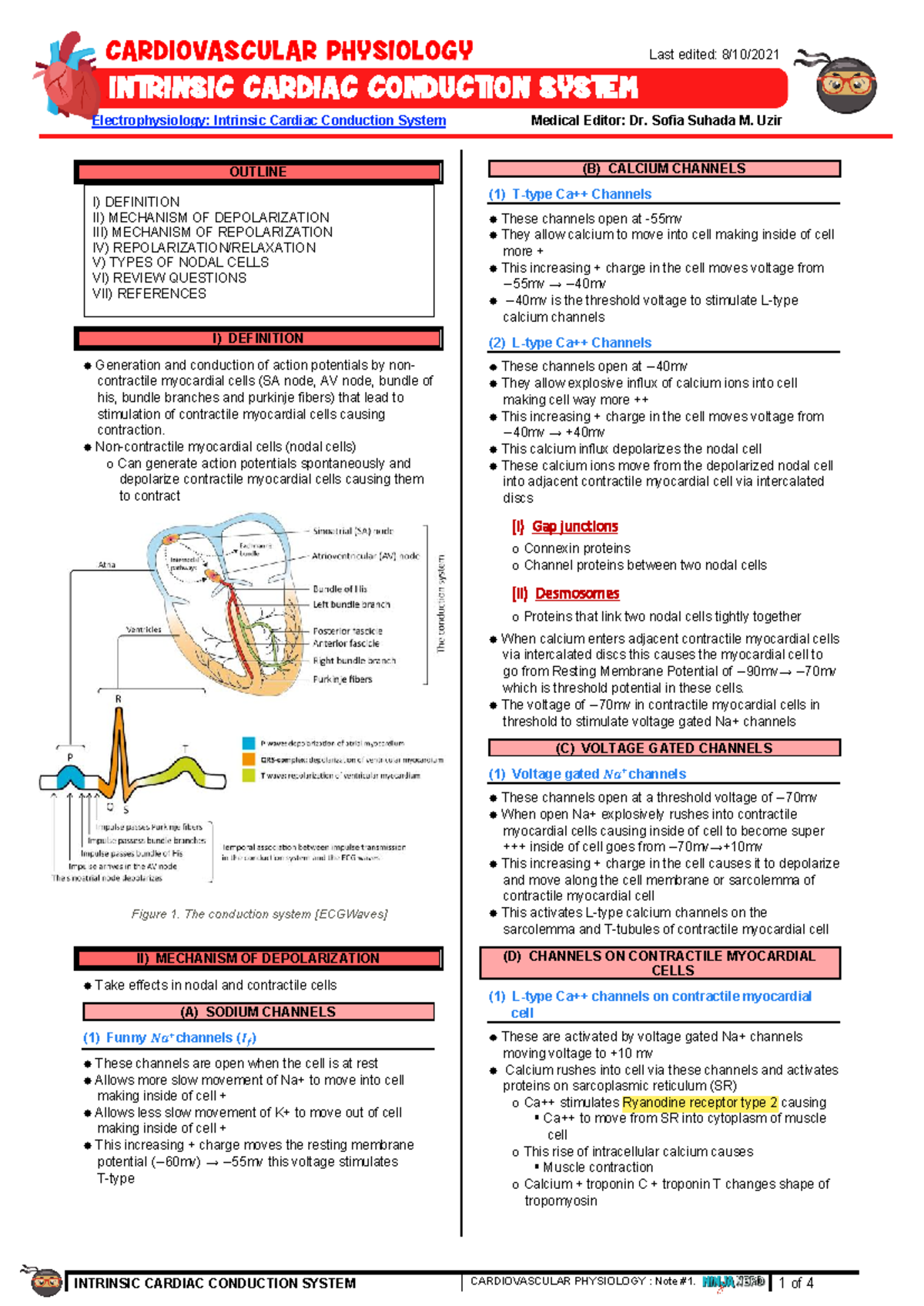 004 Cardiovascular Physiology Intrinsic Cardiac Conduction System ...