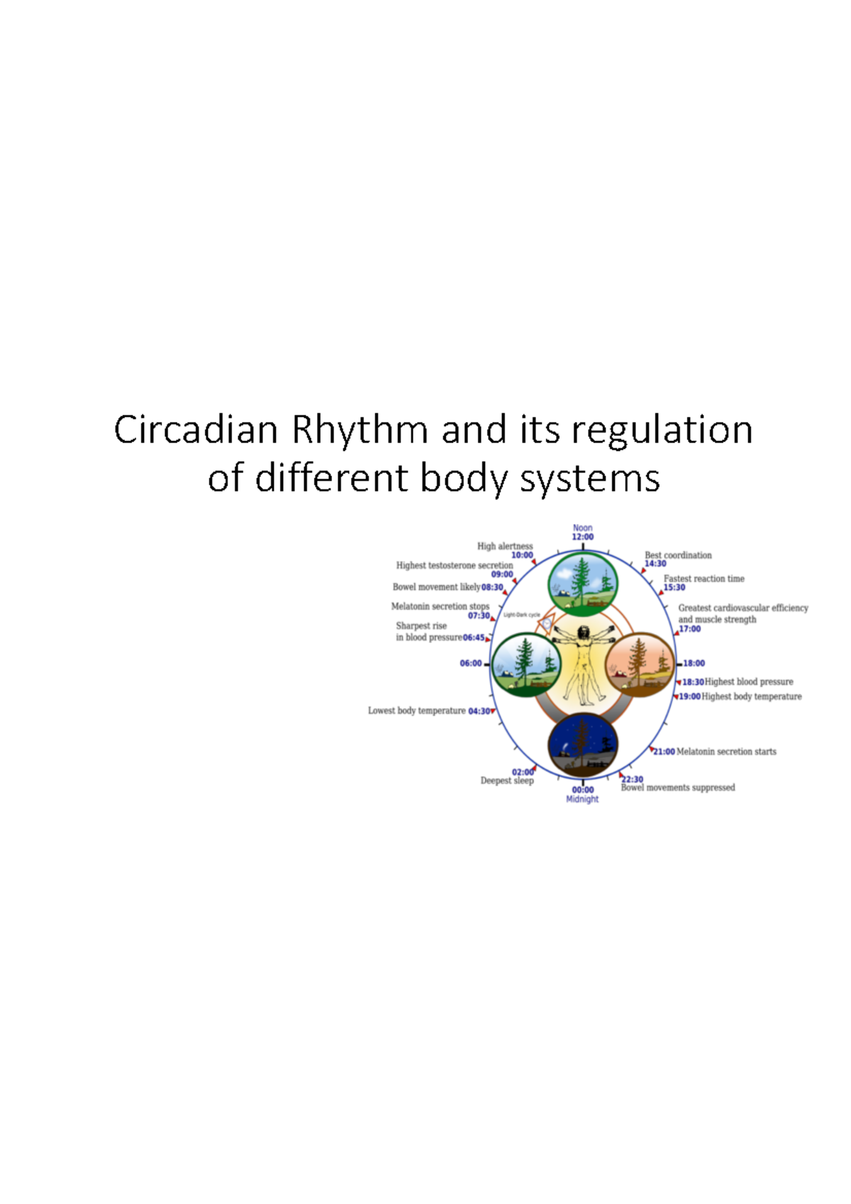 Circadian rhythms 9ced82bc5cdfb0629b9a74e637203700 - Circadian Rhythm ...