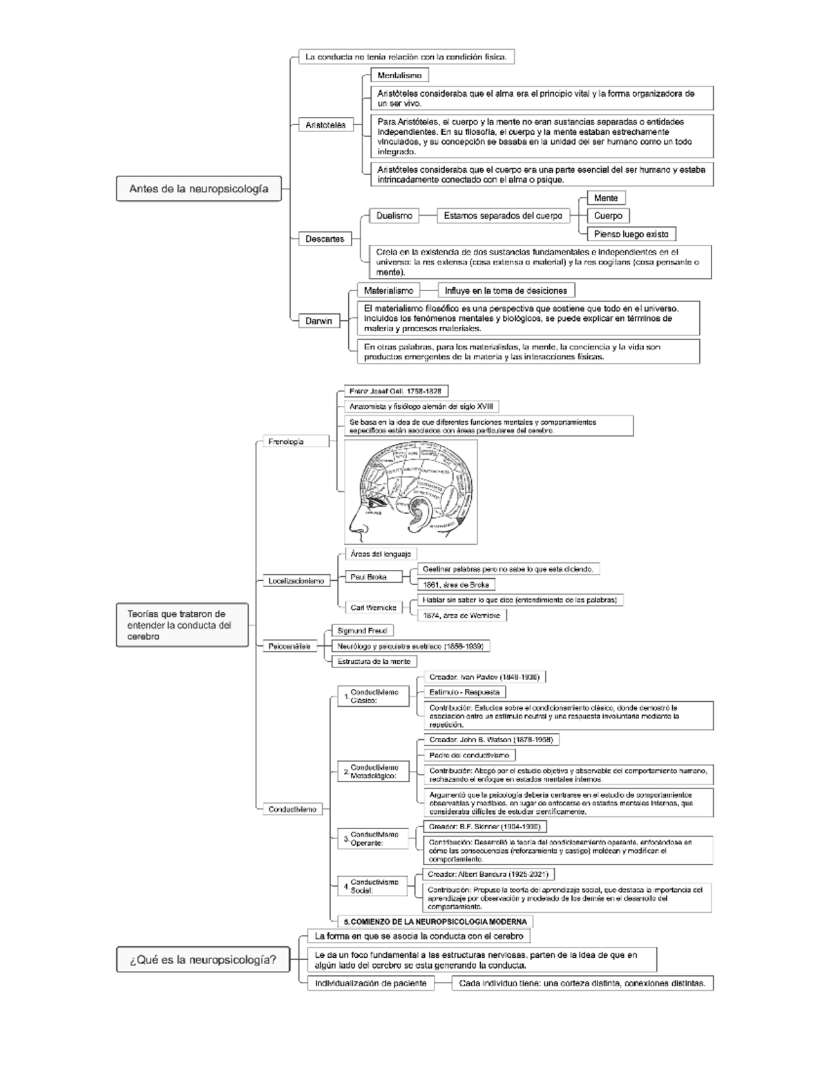 Mapas conceptuales resumen general prueba 1 Neuropsicología - La conducta no tenía relación con ...