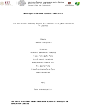 Ensayo Ergonomía - I N S T I T U T O T E C N O L Ó G I C O D E T L A L N E P A N T L A I N G E N ...