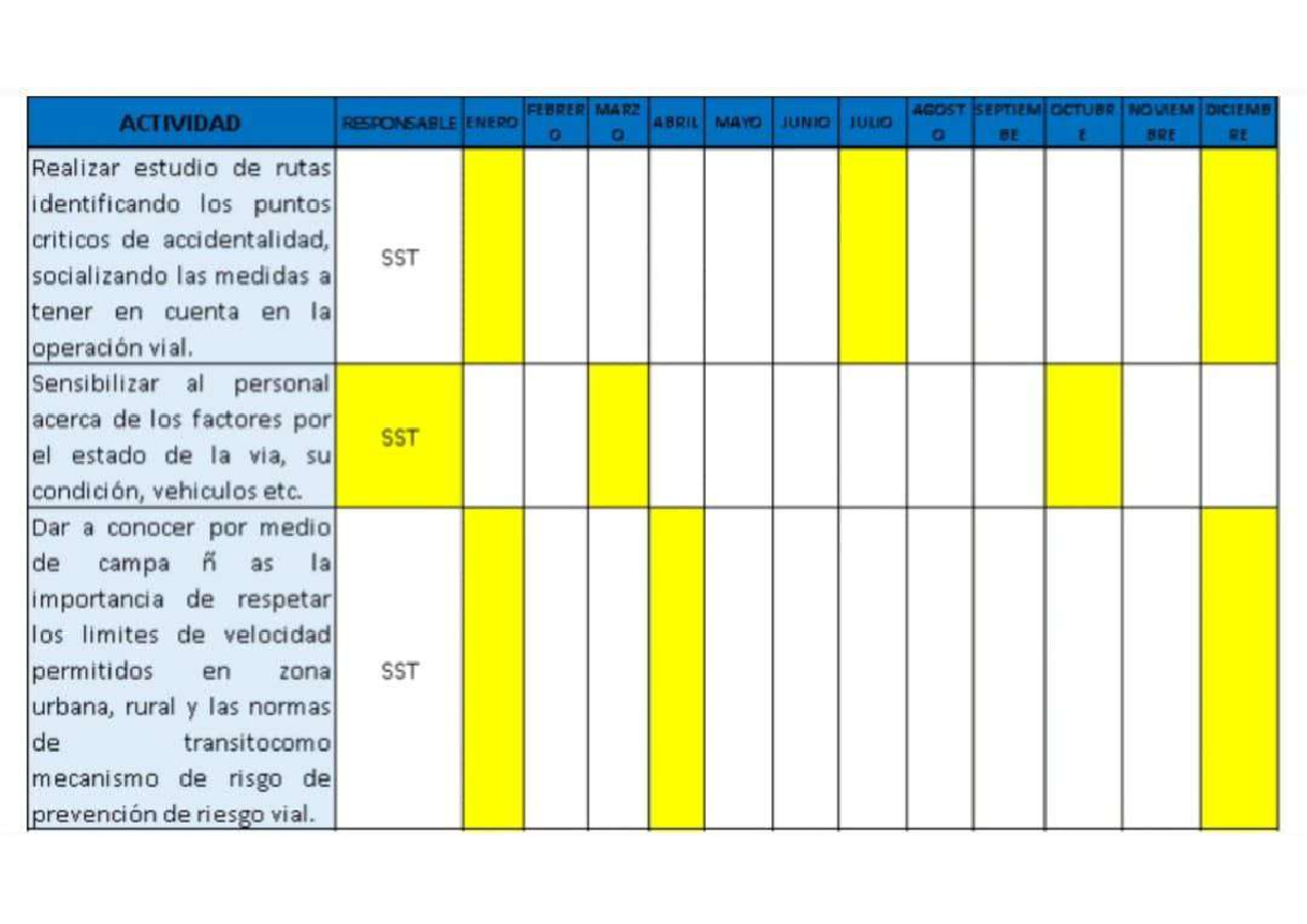 SUSTENTACION PLAN PESV - riesgo publico - Studocu