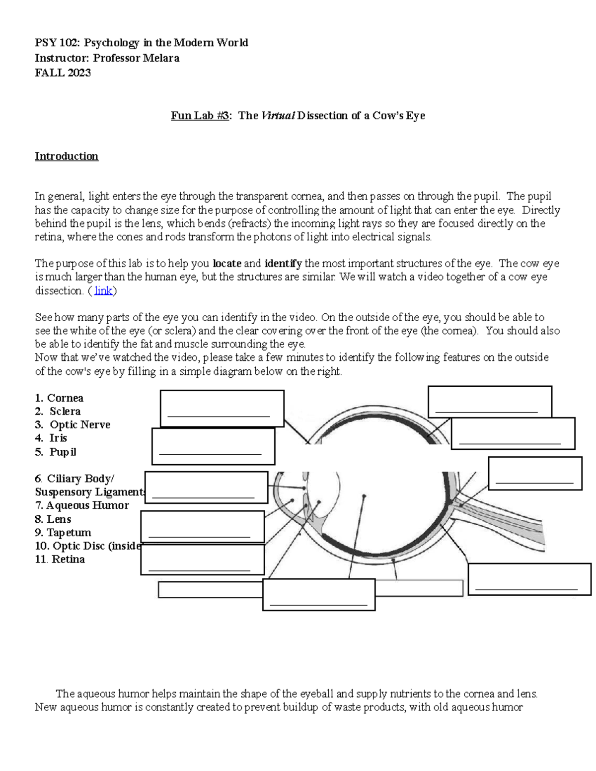 Lab #3 - for students - psychology lab - PSY 102: Psychology in the ...