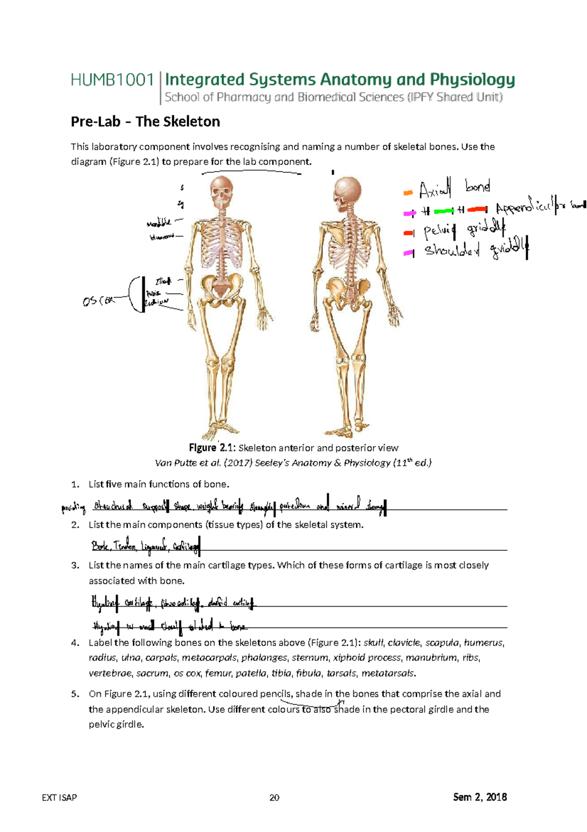Module 2 pre lab - Pre-Lab – The Skeleton This laboratory component ...