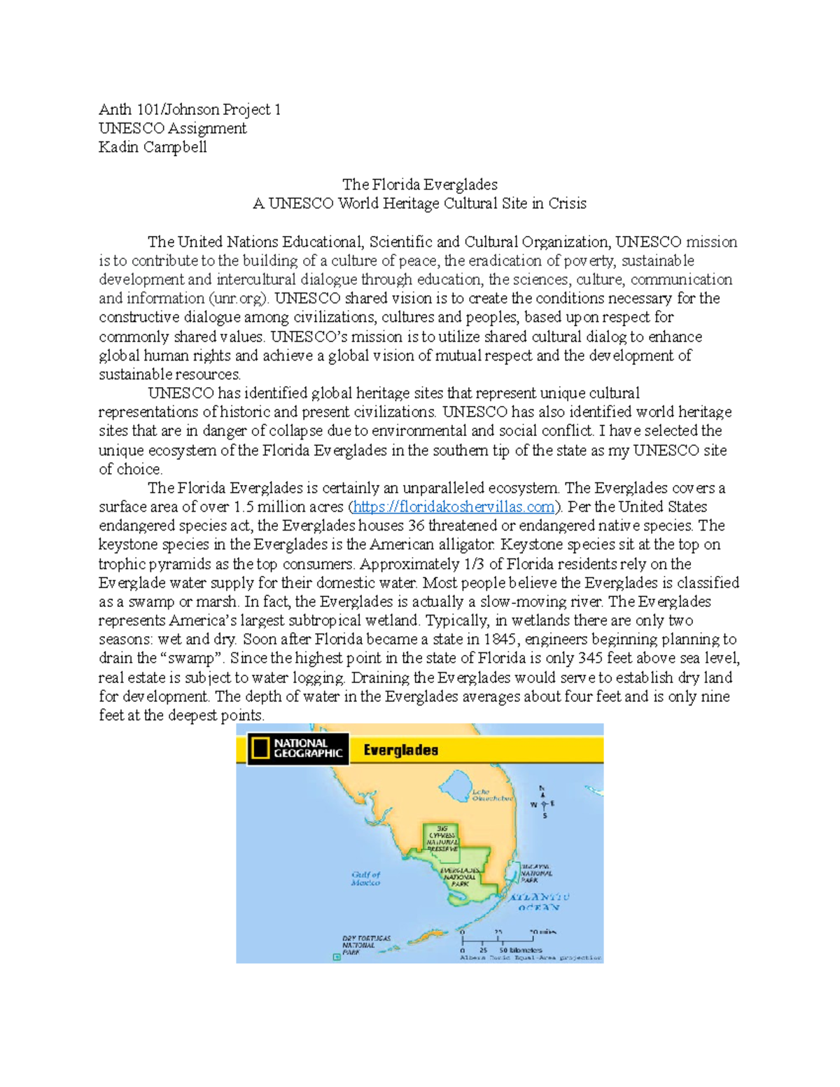 The Florida Everglades A UNESCO World Heritage Cultural Site in Crisis ...