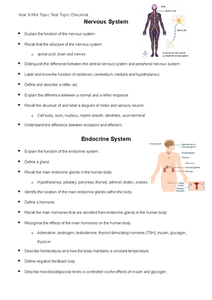 Endocrine System Year 9 Quizlet - Name: Score: 12 Multiple choice ...