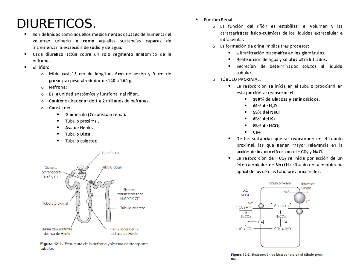 Diuréticos en cardiología - DIURETICOS. Son definidos como aquellos ...