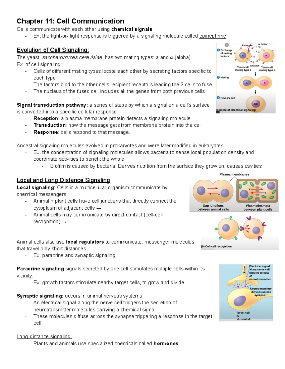 Bio ch 11+12 notes - Google Docs - Chapter 11: Cell Communication Cells ...
