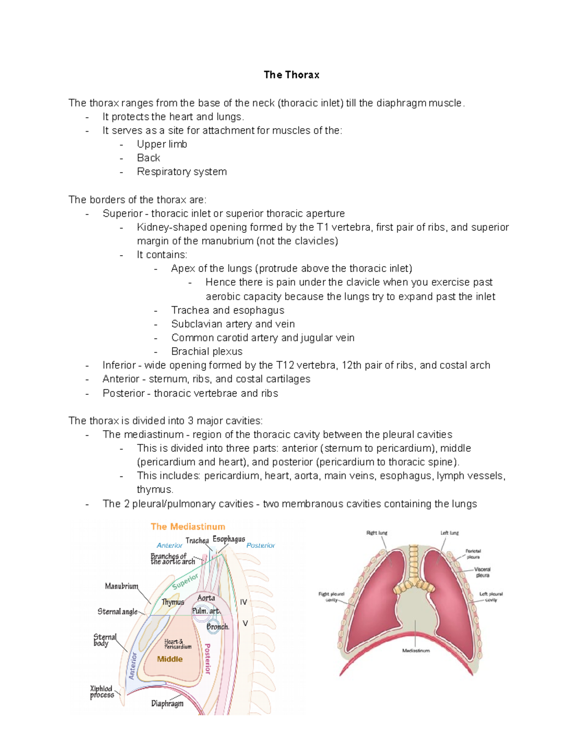 Gross Anatomy (HS369) Lecture 13 - The Thorax The thorax ranges from ...