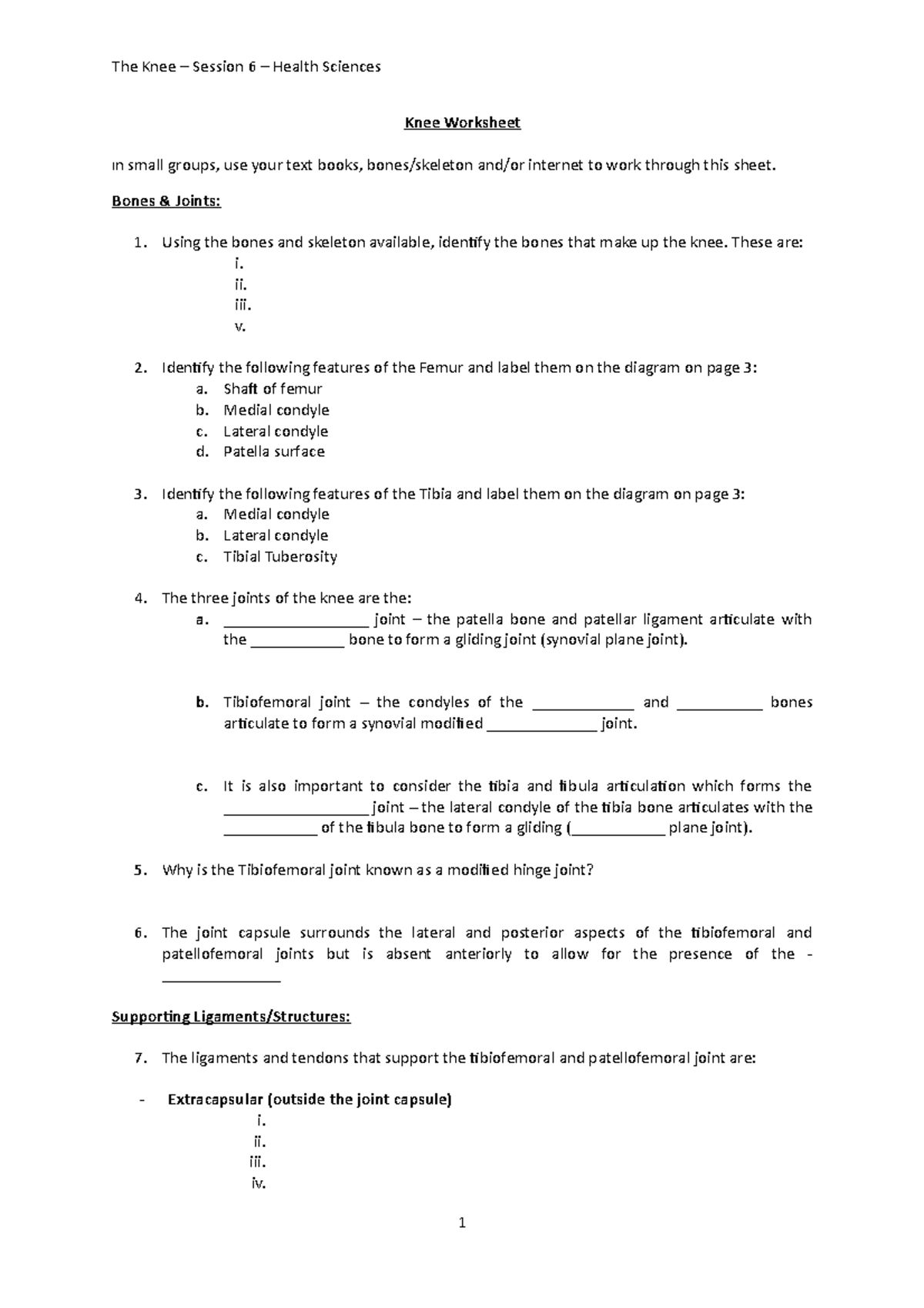 Session 3 Knee Worksheet (student version)(2) - The Knee – Session 6 ...