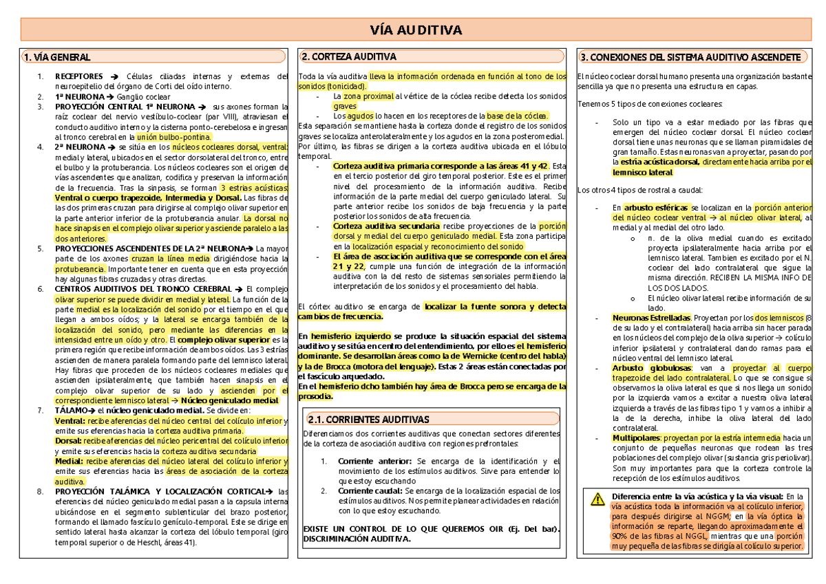 Vía auditiva neuroanatomia - RECEPTORES → Células ciliadas internas y ...