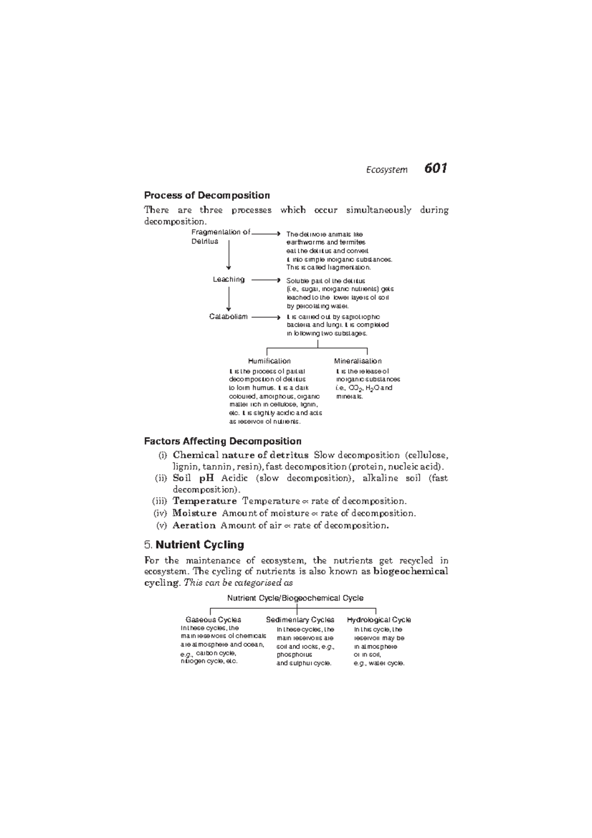 Process of Decomposition - Process of Decomposition There are three ...