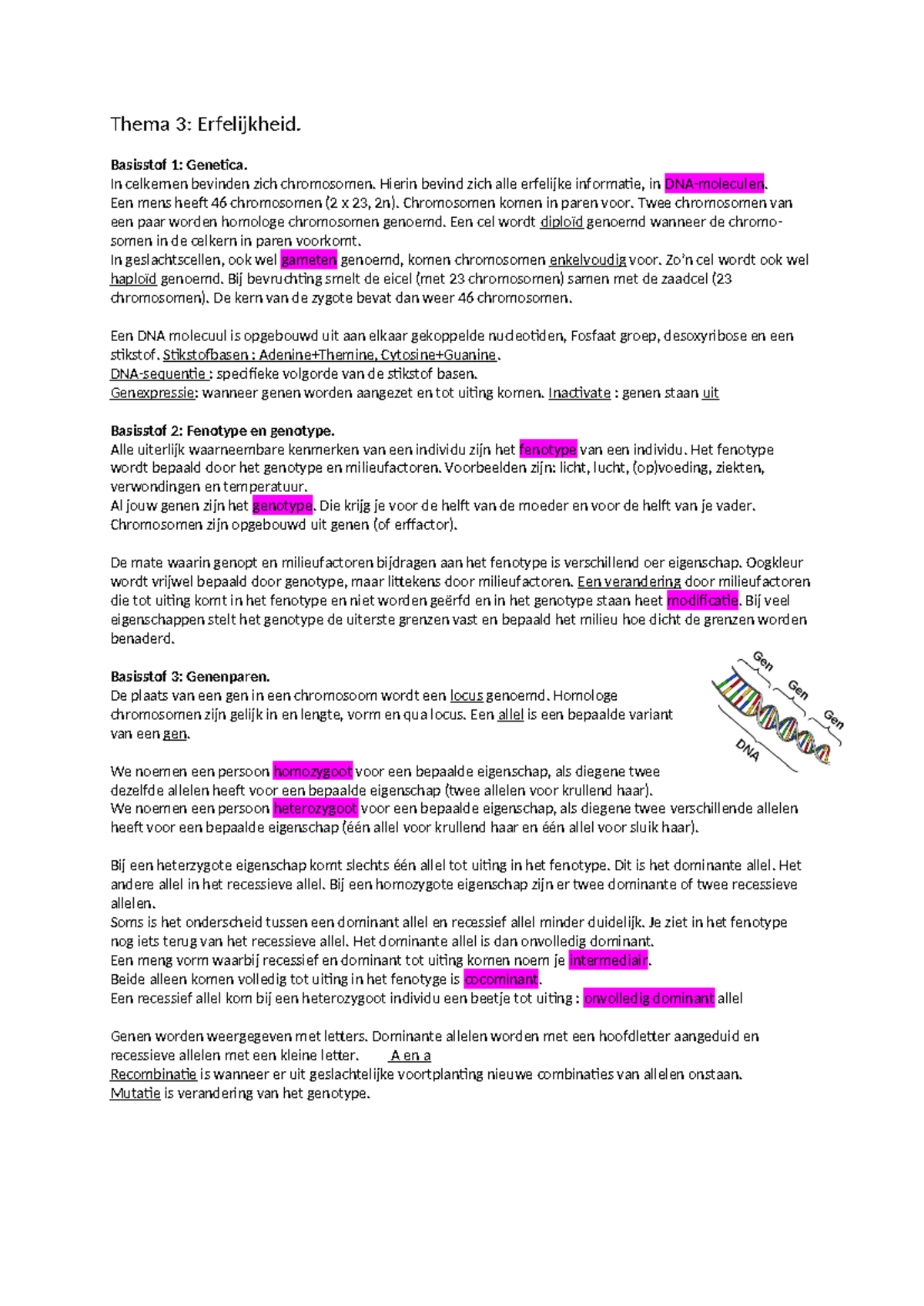 Biologie Erfelijkheid - Thema 3: Erfelijkheid. Basisstof 1: Genetica ...