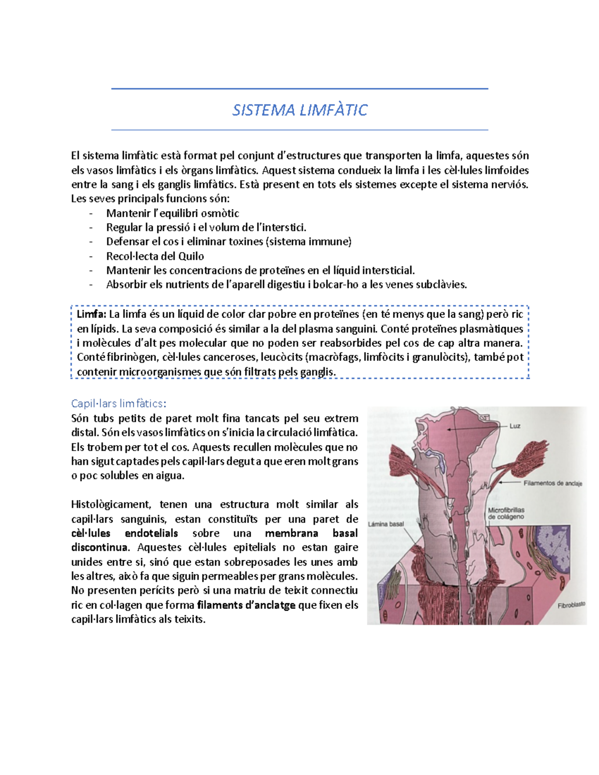 Sistema limfàtic - SISTEMA LIMFÀTIC El sistema limfàtic està format pel ...