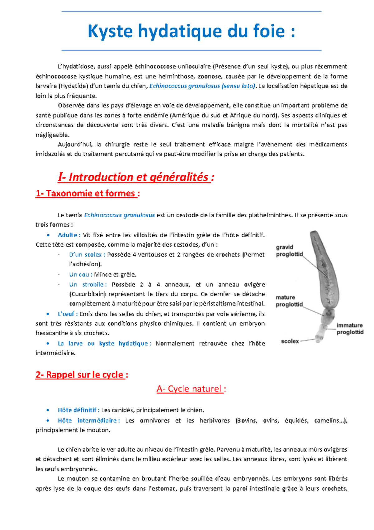 Kyste hydatique du foie - La localisation hépatique est de loin la plus ...