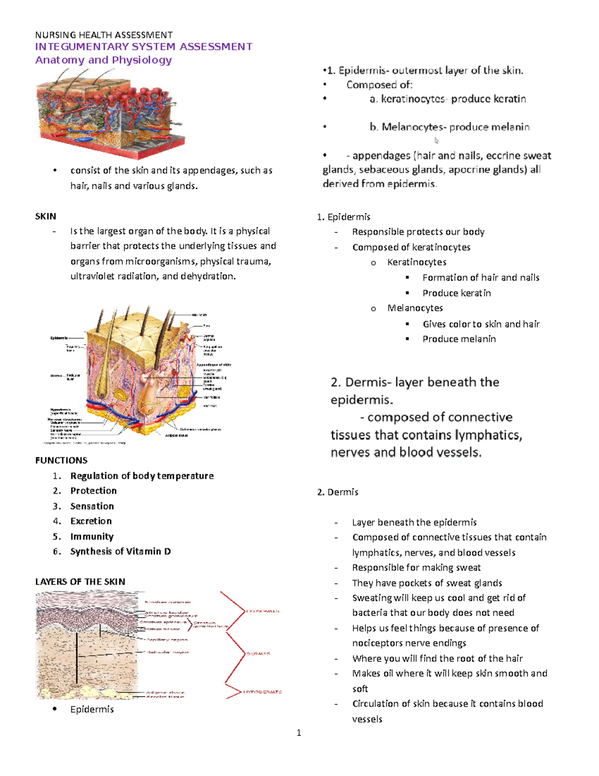 Notes ON Integsystem Assessment - INTEGUMENTARY SYSTEM ASSESSMENT ...