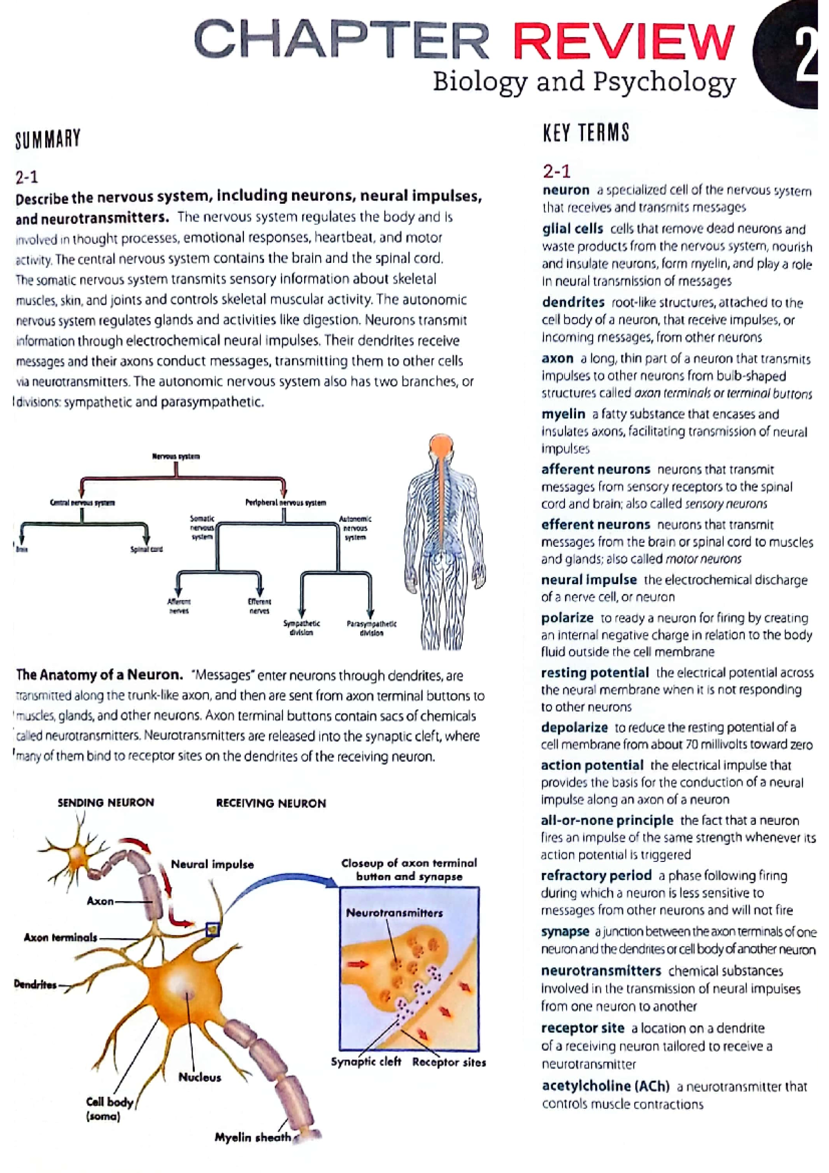 PSYCH SPENCER A RATHUS - Bachelor of Arts in Psychology - Studocu