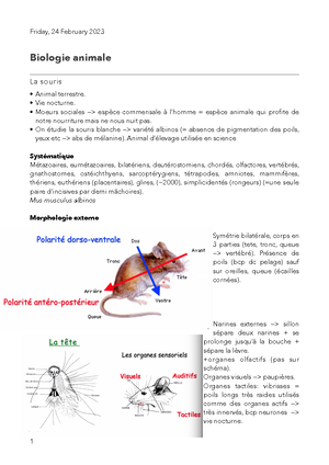 Cours Grenouille - diapo - BIOLOGIE DES ORGANISMES LA GRENOUILLE La grenouille est un animal ...