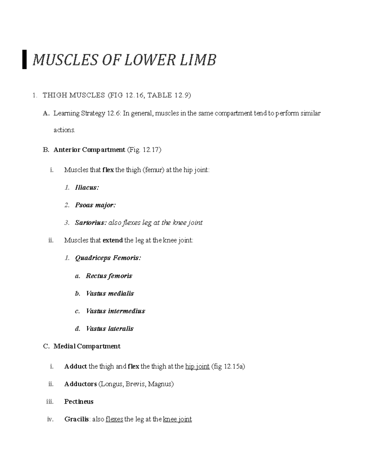 Muscles OF Lower LIMB - MUSCLES OF LOWER LIMB 1. THIGH MUSCLES (FIG 12 ...