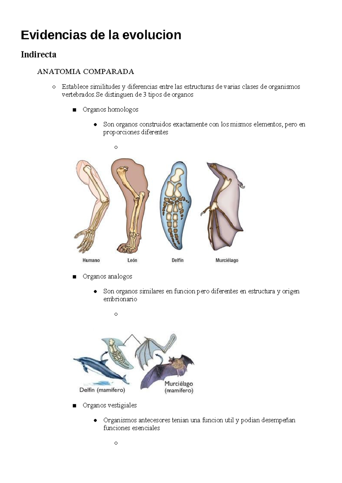 Evidencias de la evolucion - Evidencias de la evolucion Indirecta ...