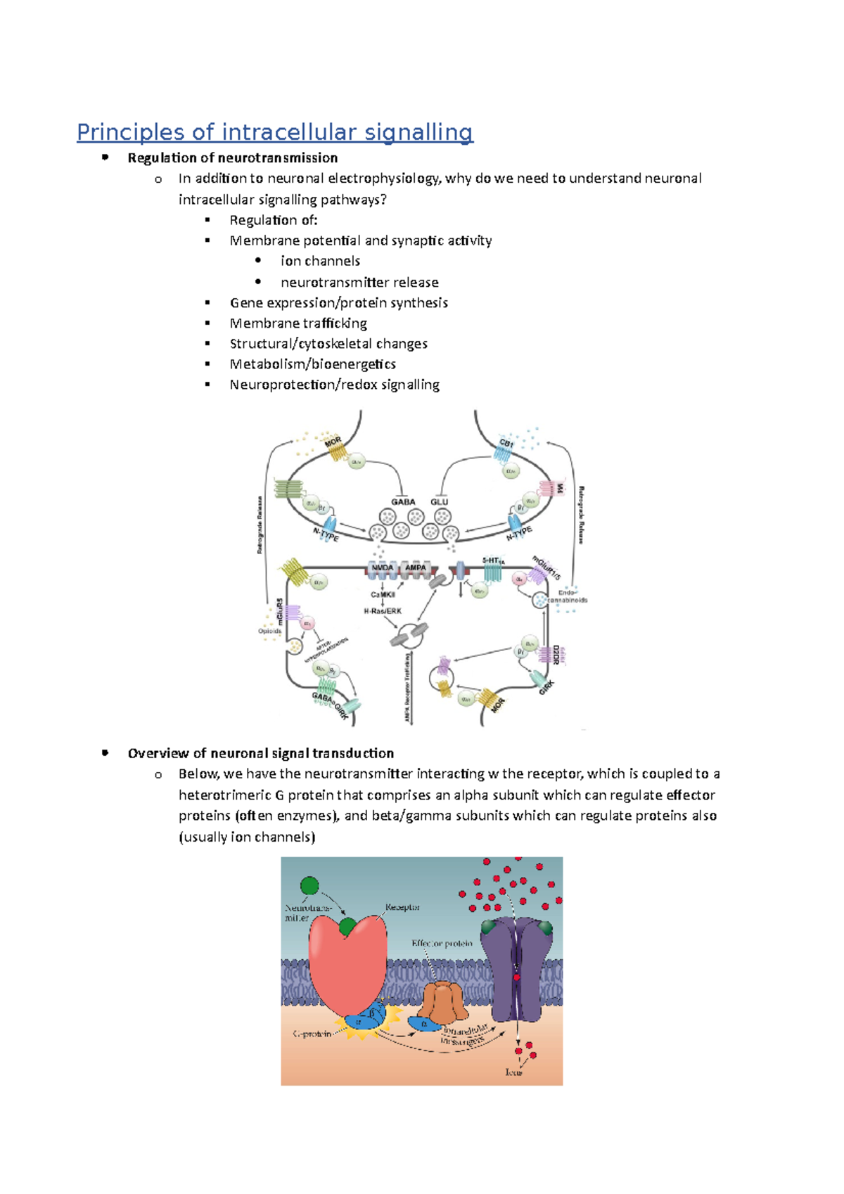 Neuronal cell signalling - Principles of intracellular signalling ...