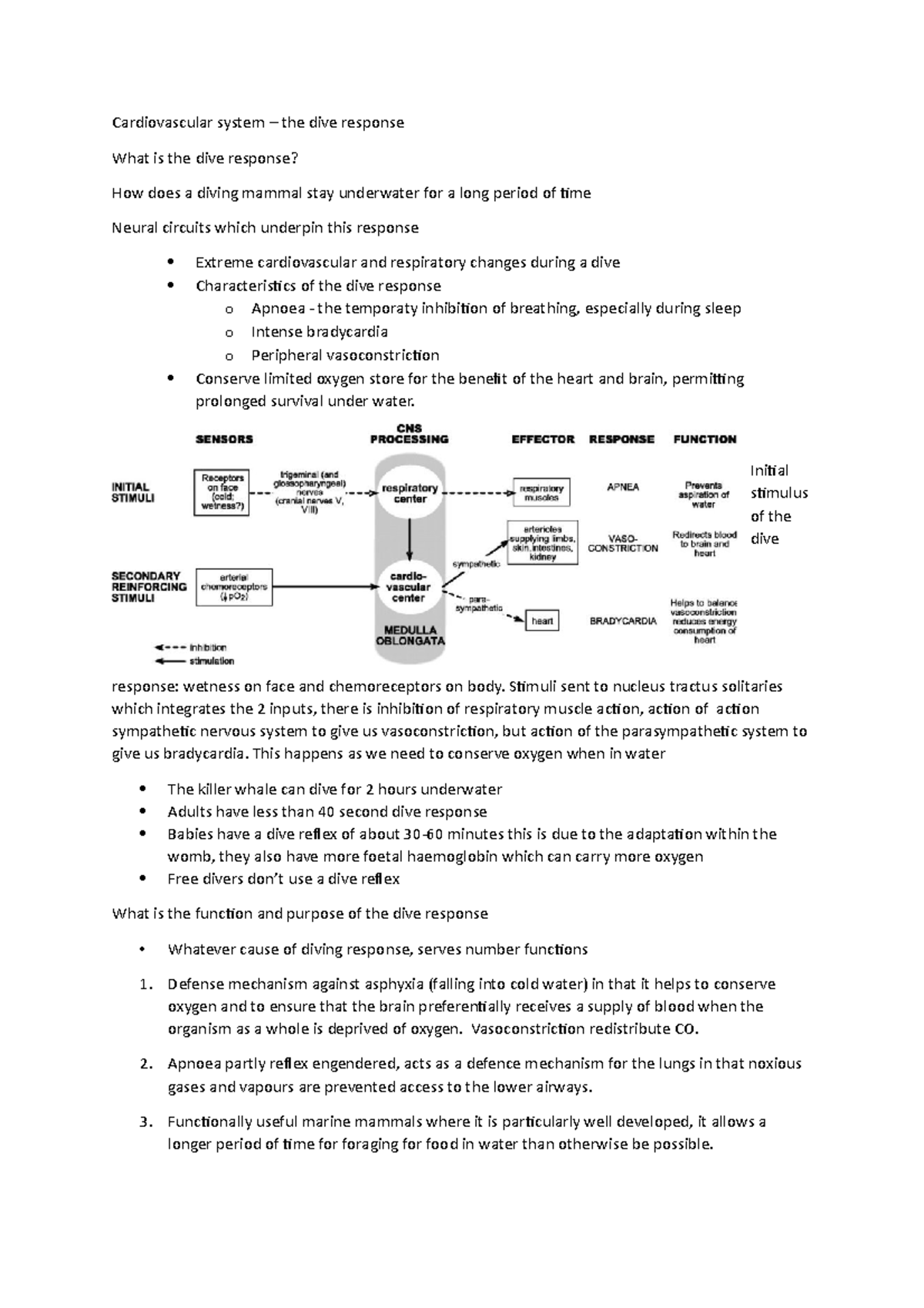 Lecture 10 - The dive repspnse - Cardiovascular system – the dive ...