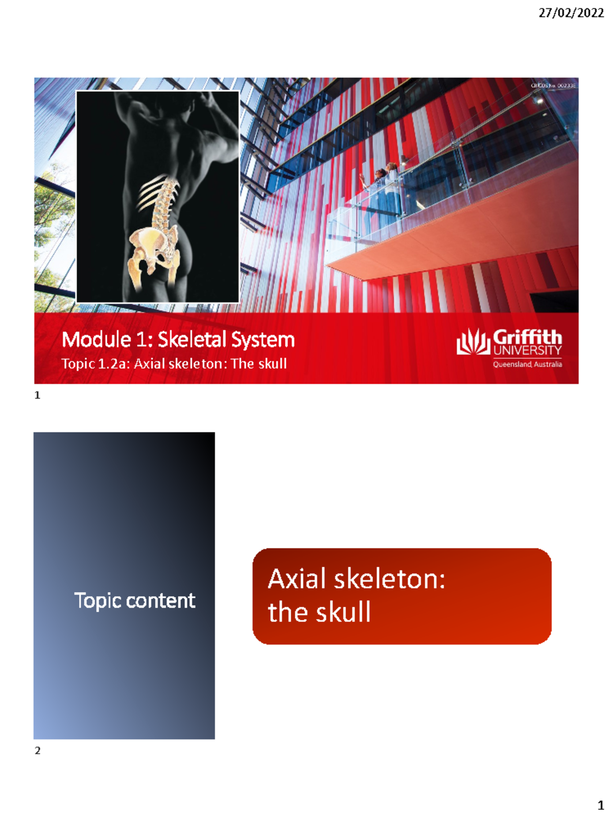 1016MSC 1 - asdasd - Module 1 : Skeletal System Topic 1: Axial skeleton ...