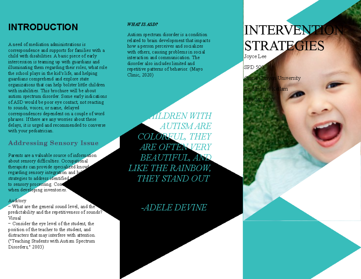 Joyce Intervention Strategies Digital Brochure - INTRODUCTION A need of ...