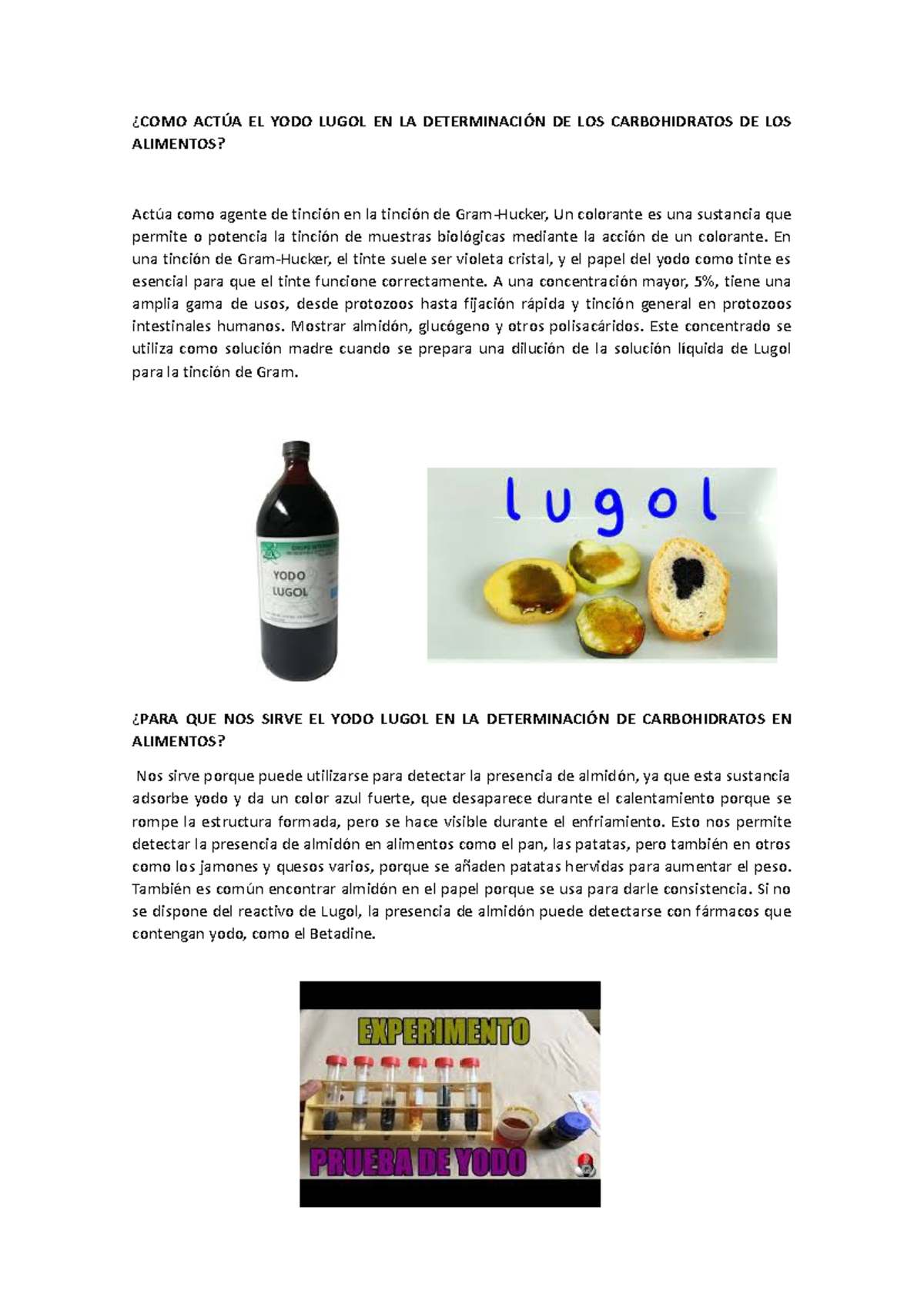 Lugol - ¿COMO ACTÚA EL YODO LUGOL EN LA DETERMINACIÓN DE LOS ...