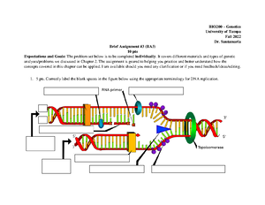 Bill Nye 100Greatest Discoveriesin Genetics Video Questions-1 - Bill ...