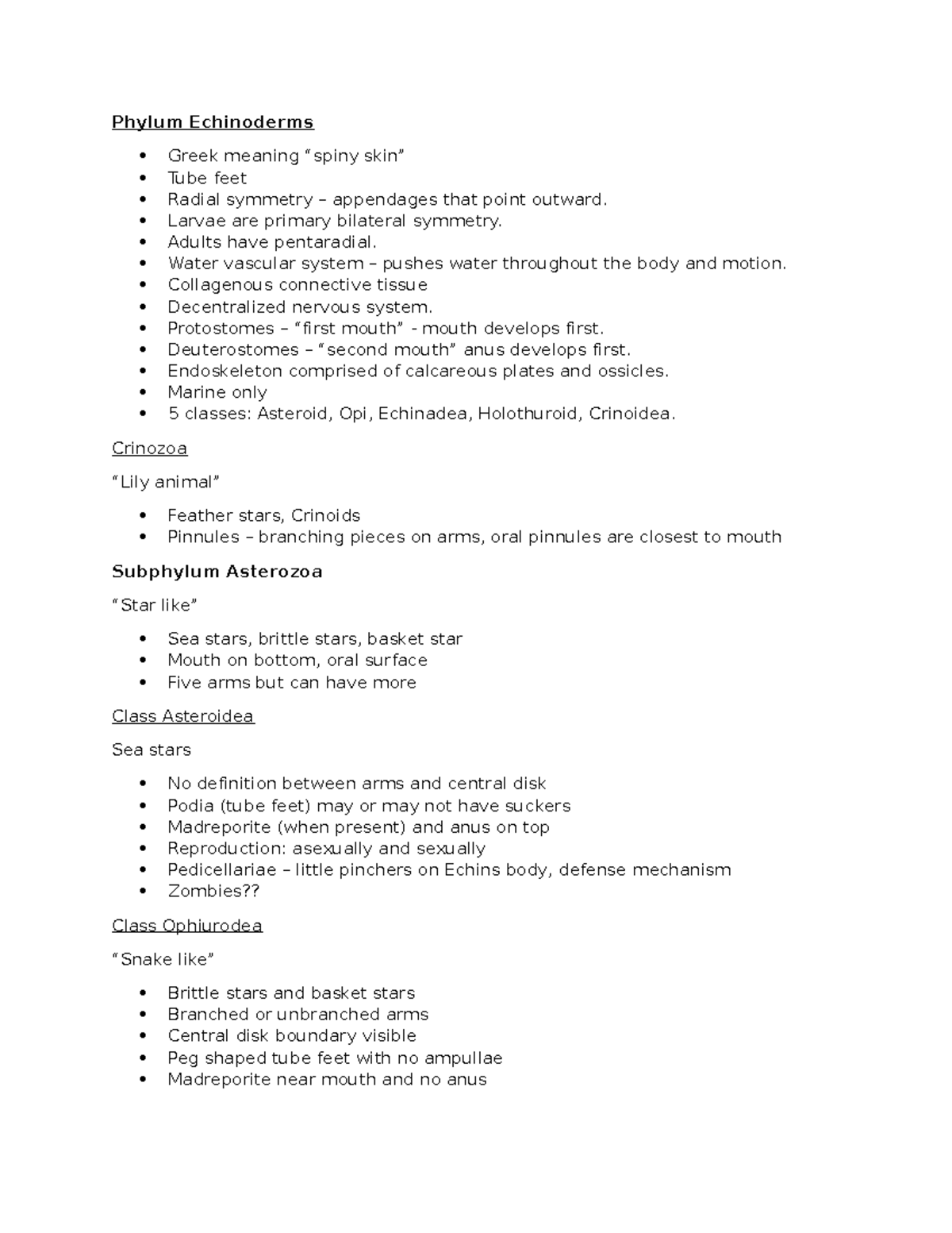 Phylum Echinoderms - Phylum Echinoderms Greek meaning “spiny skin” Tube ...