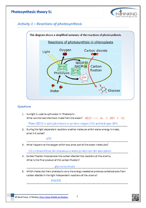 AP Bio Ch. 13 KEY Reading Guide - IBDP-bio 2 - Studocu