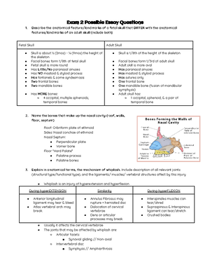 Unit 5 Study Guide Human Anatomy - Unit 5 Study Guide Respiratory ...