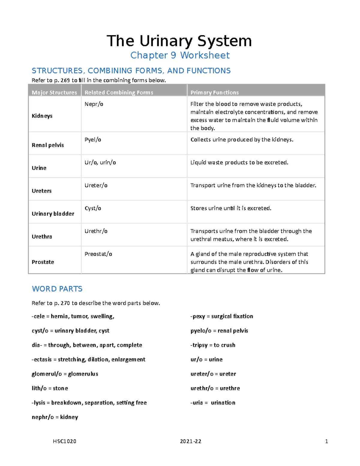 Ch 9 Worksheet - Homework materials. - The Urinary System Chapter 9 ...