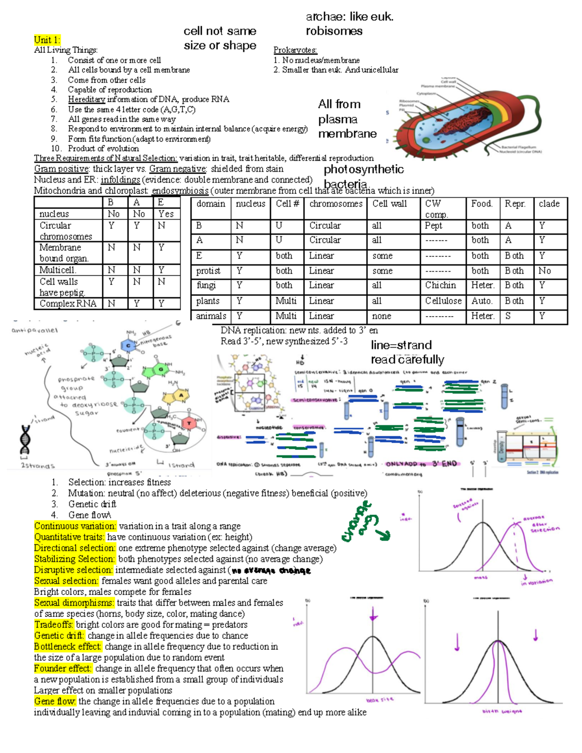 Bio 148 UKY Seth Jones Exam 1 Cheat Sheet 2022 - Unit 1: All Living ...
