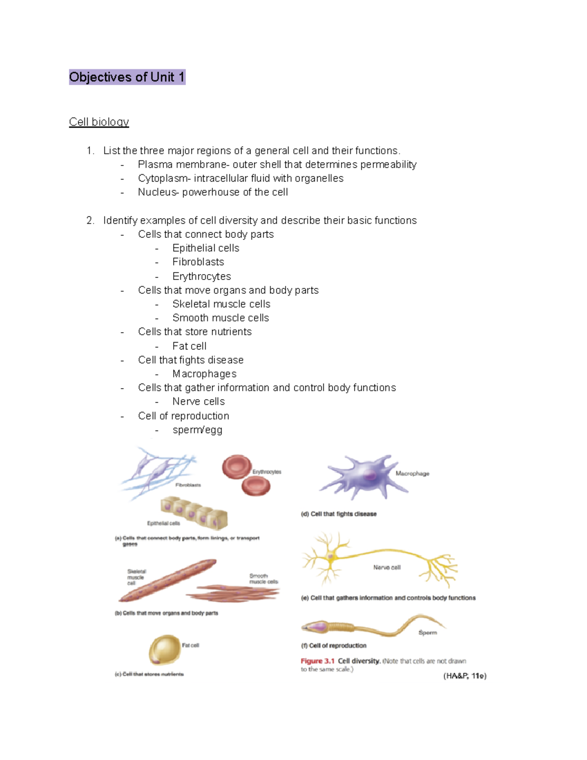 Final exam review - Objectives of Unit 1 Cell biology List the three ...